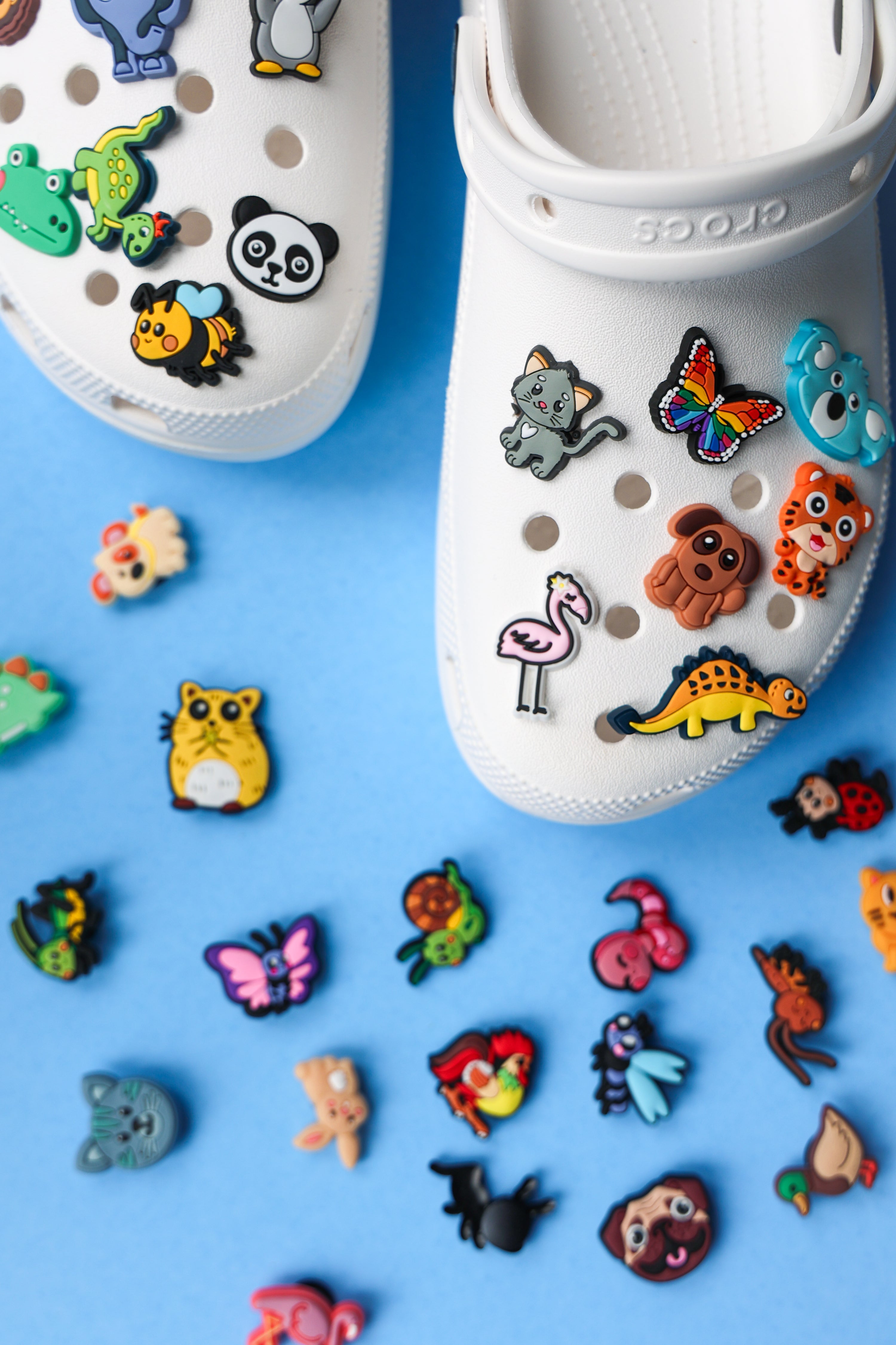 The Shoe Charm Shop | + 6,000 designs | Charms for crocs